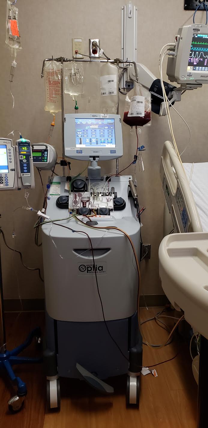 Stem Cell Harvest, Day Two – Keep Pounding Rob!